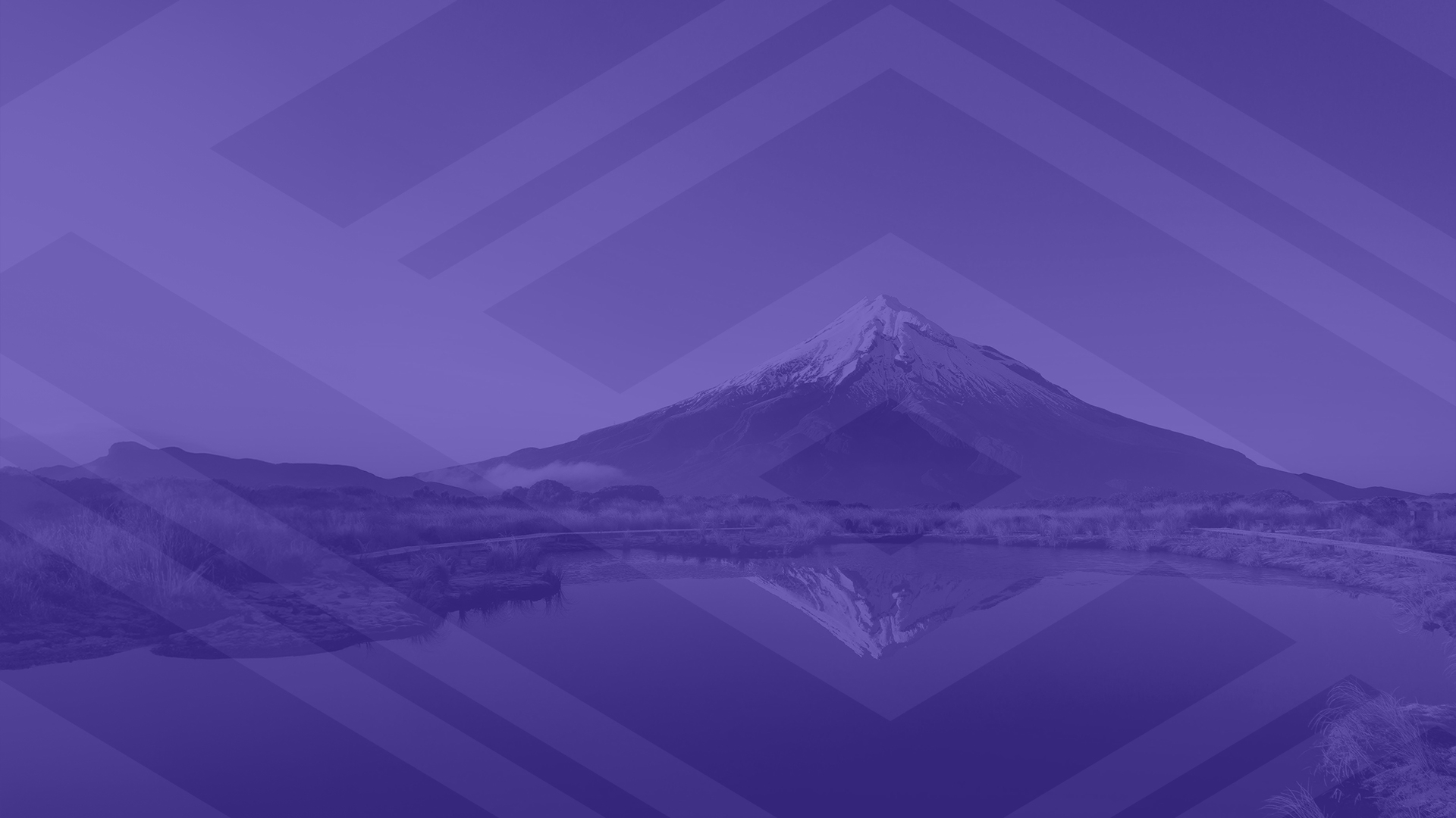 Mana whakahaere | Your board - Te Punanga Ora Iwi Māori Partnership Board